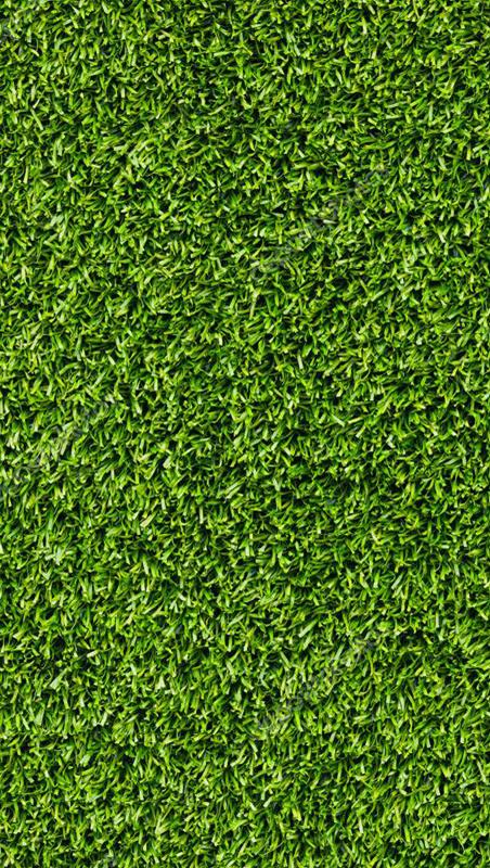 Speed Gazon – Gazon en rouleaux