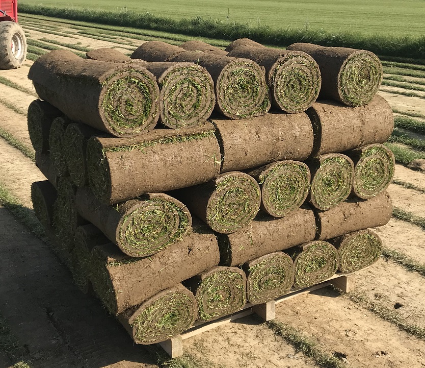 Speed Gazon – Gazon en rouleaux